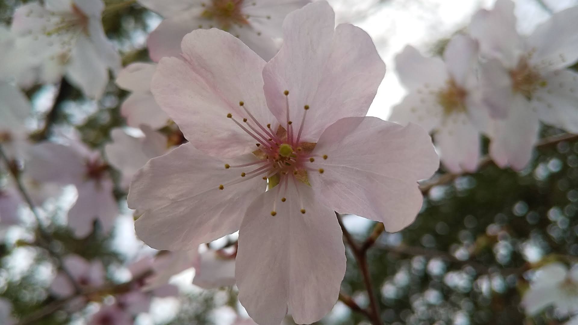 DSC_2715 – くれあそびツアーズ（旧KUMANO OUTDOOR TRIP